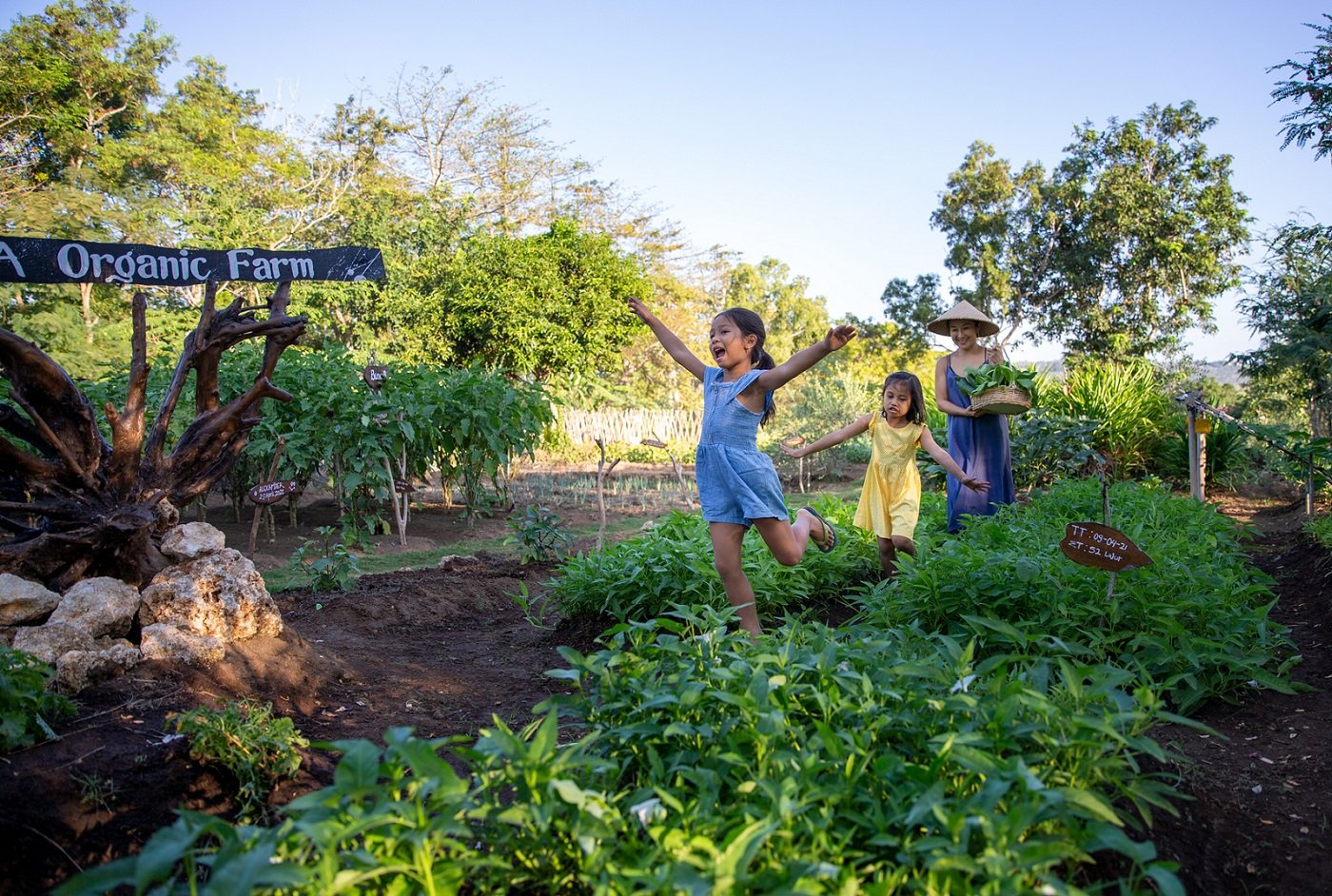 From the new Work Suite to the Kid’s Club: All-encompassing Facilities at RIMBA by AYANA Bali ...